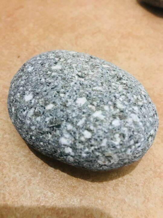 batong panghilod(natural fresh from dalampasigan | Lazada PH