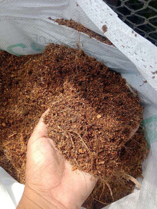 Cocopeat (5kl) | Lazada PH