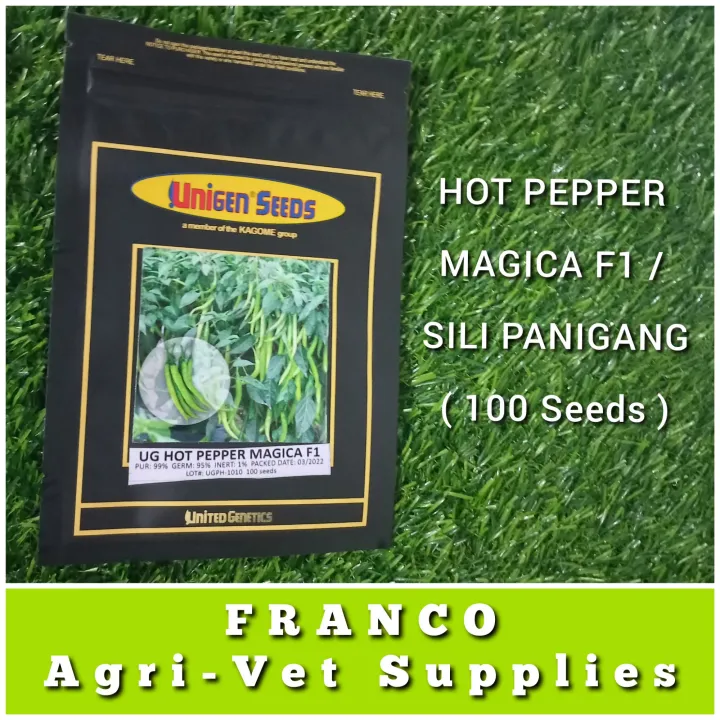 Hot Pepper Magica F1 / Sili Panigang ( 100 Seeds ) | Lazada PH