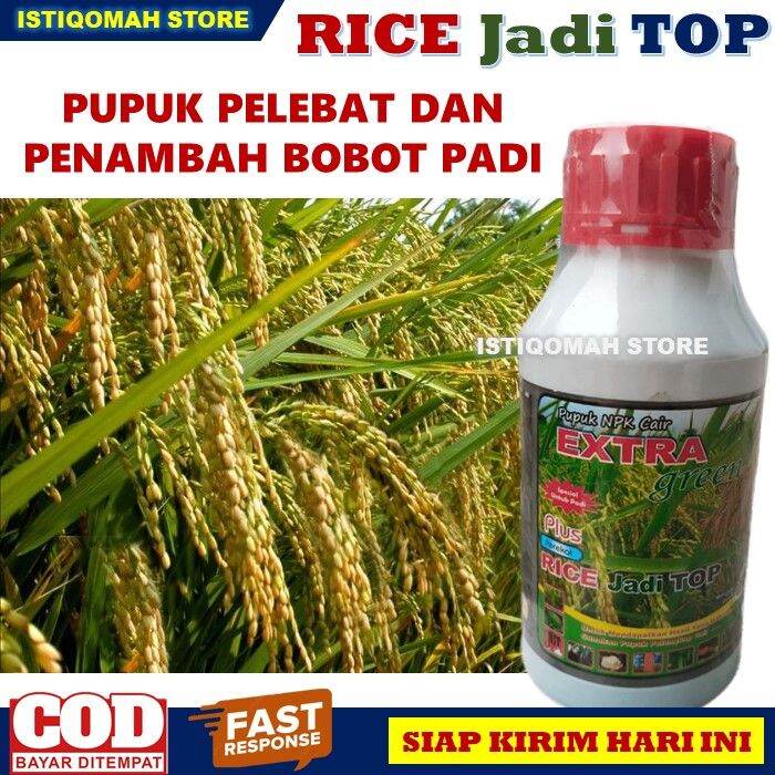 Pupuk Pelebat dan Penambah Bobot Padi yang Bagus RICE JADI TOP 500ML Pupuk NPK Cair untuk ...