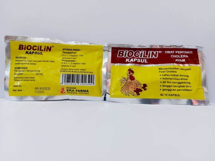 biocilin kapsul obat penyakit cholera ayam | Lazada Indonesia