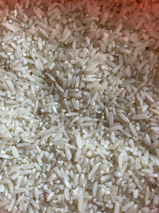 500g TUAIAN 2022 Beras kampung Beras Bukit Beras Putih Wangi dari ...