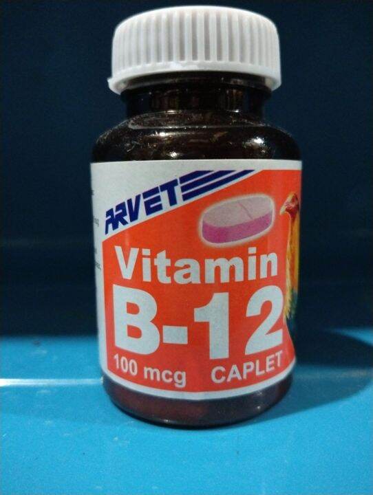 Arvet VTAMIN B-12 caplet | Lazada PH
