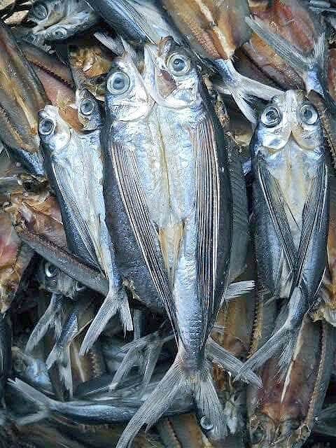 Dried Flying Fish | Lazada PH