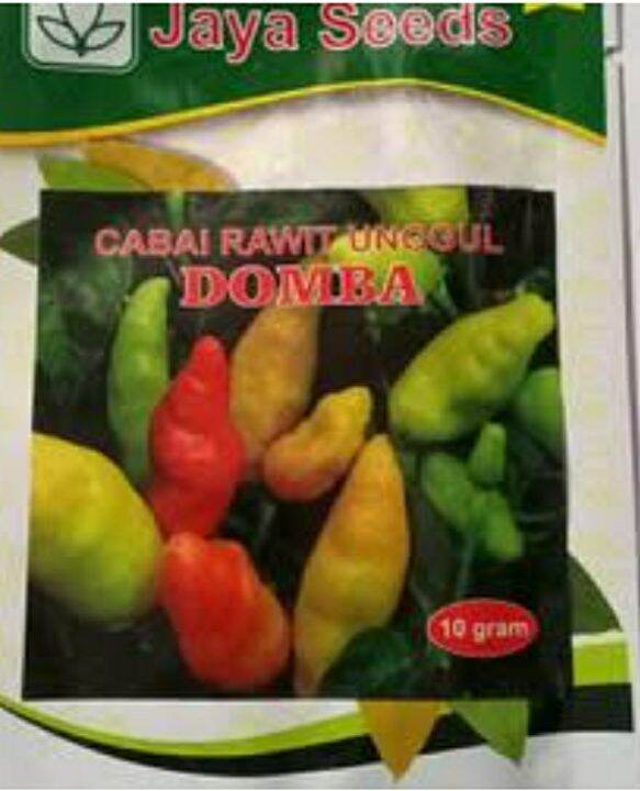 Cabe Rawit Unggul Domba eceran 100 biji | Lazada Indonesia
