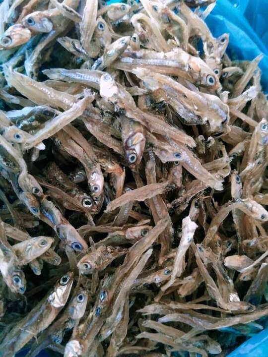 dried fish dilis, gigi & alamang | Lazada PH