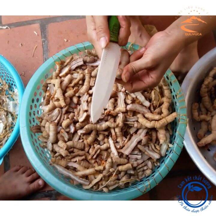 Ba kích tím tươi đã làm sạch, bóc tách bỏ lõi hút chân không, củ ba ...