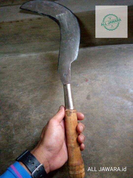 ARIT BEDOG TEBANG TEBU BAJA PER | Lazada Indonesia