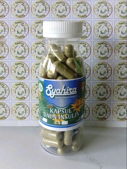 kapsul Insulin Isi 100 kemasan botol | Lazada Indonesia