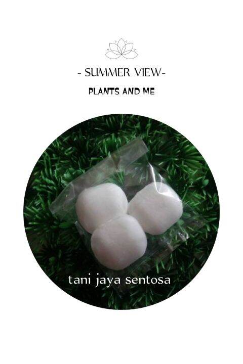 portas pembasmi hama ulat wereng ikan predator tambak kemasan 3 butir ...