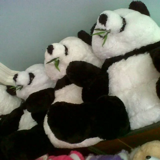 boneka panda duduk ukuran jumbo montok dan gemoy | Lazada Indonesia