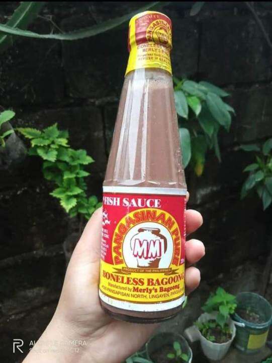MM Pangasinan Pure Bagoong ISDA 320ML | Lazada PH