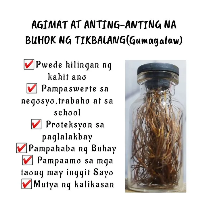 Buhok ng Tikbalang/ANTING-ANTING na buhok na Gumagalaw/Pwede hilingan o ...