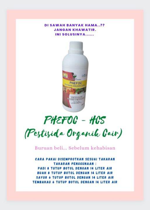 Obat pembasmi hama wereng - insektisida kutu putih hama tanaman ...