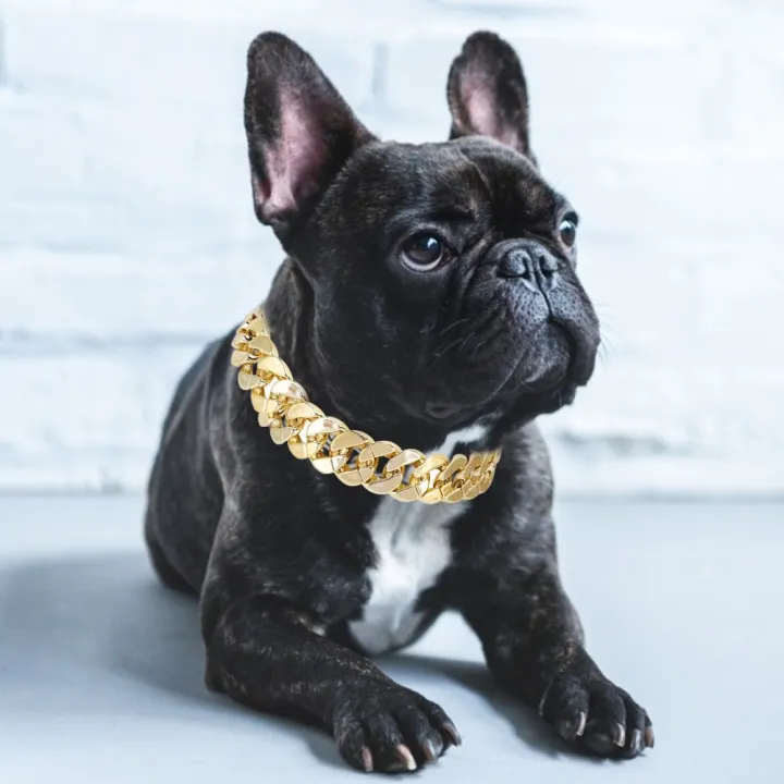 Pet Bully Dog Adjustable Gold Silver Plated Chain Collar Safety Control ...