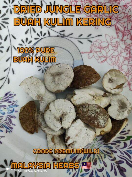 Buah Kulim Kering Dried Jungle Garlic Buah Kulim | Lazada