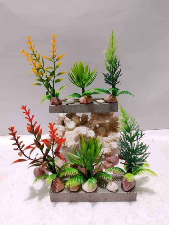 tanaman akuarium batu pinus warna | Lazada Indonesia