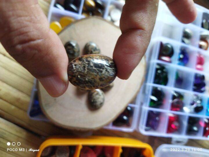 Batu akik fosil stigi barex (n) | Lazada Indonesia