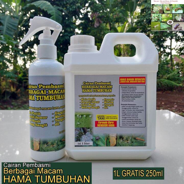 SPRAY CAIRAN PEMBASMI HAMA TANAMAN 1L GRATIS 250ML | Lazada Indonesia