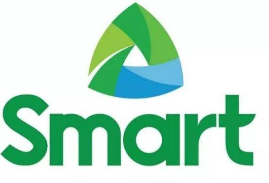 SMART LOAD Regular 100 | Lazada PH