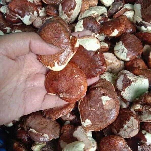 Gayam kupas mentah isi 1kg makanan tempo dulu | Lazada Indonesia