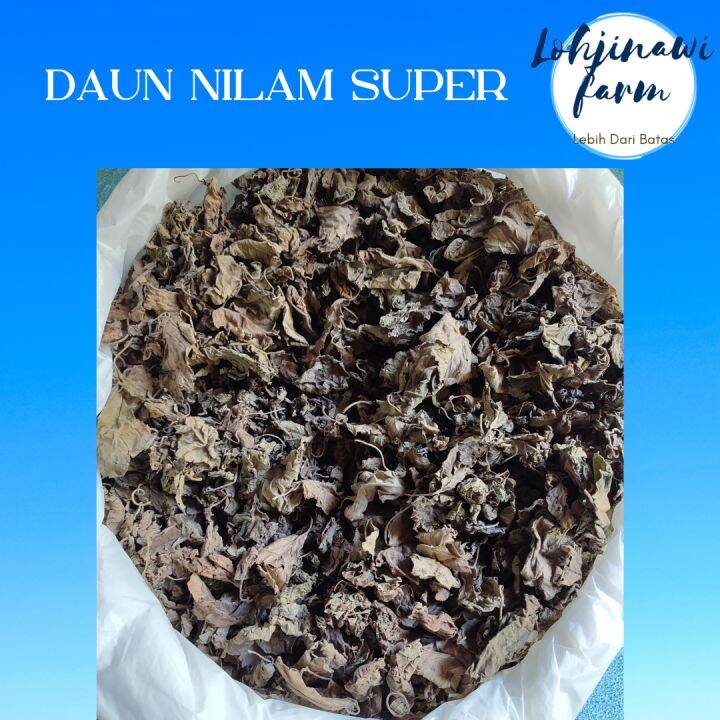 Daun Nilam Super Kering Khusus Daun, Minyak atsiri 1 kg | Lazada Indonesia