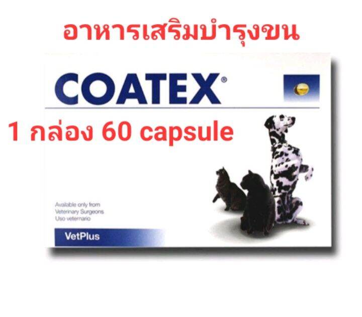 coatex 1 กล่อง 60 capsule อาหารเสริมบำรุงขนสุนัข อาหารเสริมบำรุงขนแมว ...
