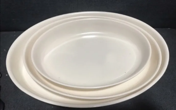 Melawares oval plate | Lazada PH