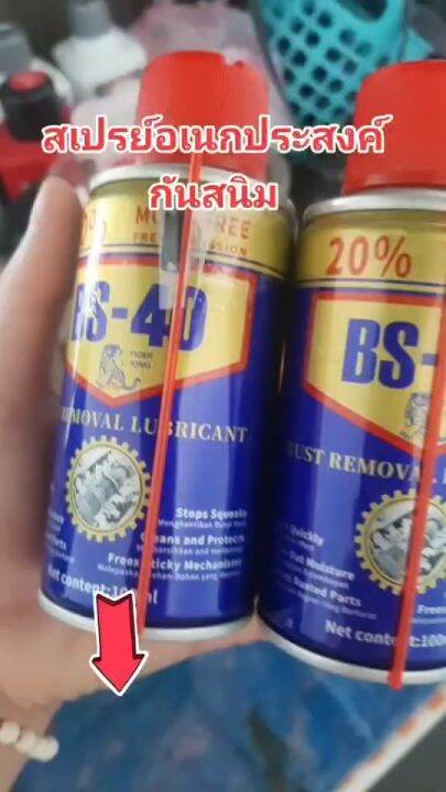 🔥ส่งด่วนภายใน48ชม🔥สเปรย์กันสนิม BS-40แท้ ขวดใหญ่ 250 ml สเปรย์หล่อลื่น สเปรย์น้ำยาพ่นกันสนิม กัน ...