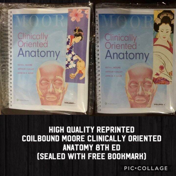 Moore Clinically Oriented Anatomy 8th Edition Textbook | Lazada PH