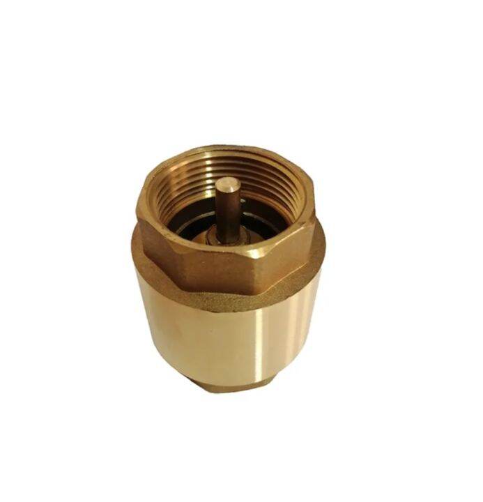 Spring Check Valve 1 inch Rectified Brass | Lazada PH