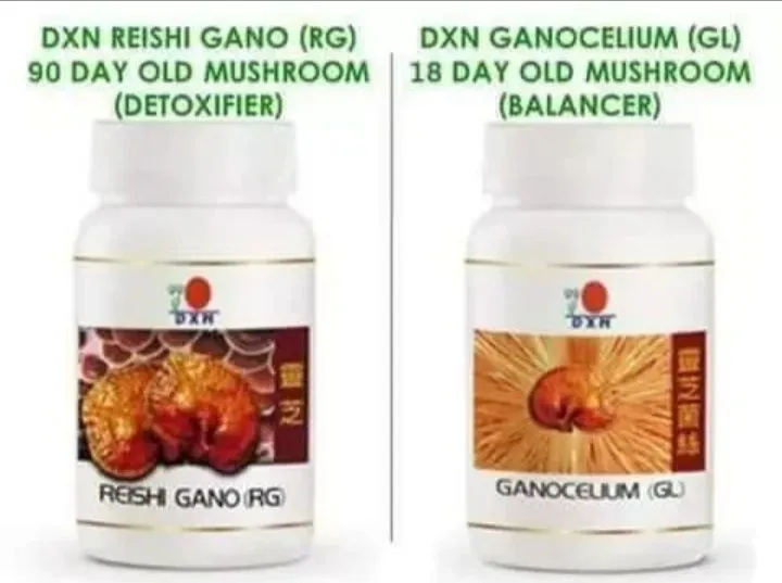 DXN Reishi Gano (RG) & Ganocelium (GL) 100% Authentic | Lazada PH