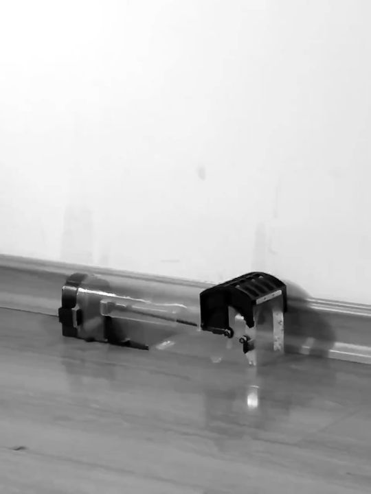 31cm Reusable Smart Mouse Trap Transparent Plastic Rat Trap Rat Live ...