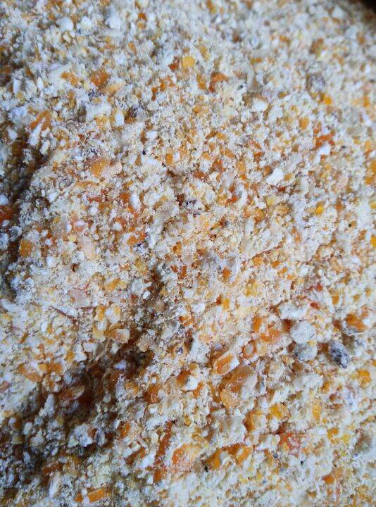Fine Corn Grits small Broiler Yellow corn For Birds chicken and pets ...