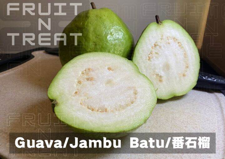 JAMBU BATU LOHAN/GUAVA LOHAN/罗汉番石榴 (500～600g) | Lazada