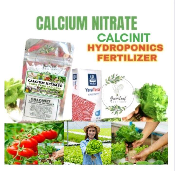 CALCIUM NITRATE CALCINIT BEST FOR HYDROPONICS SOLUTION & HOME GARDENING ...