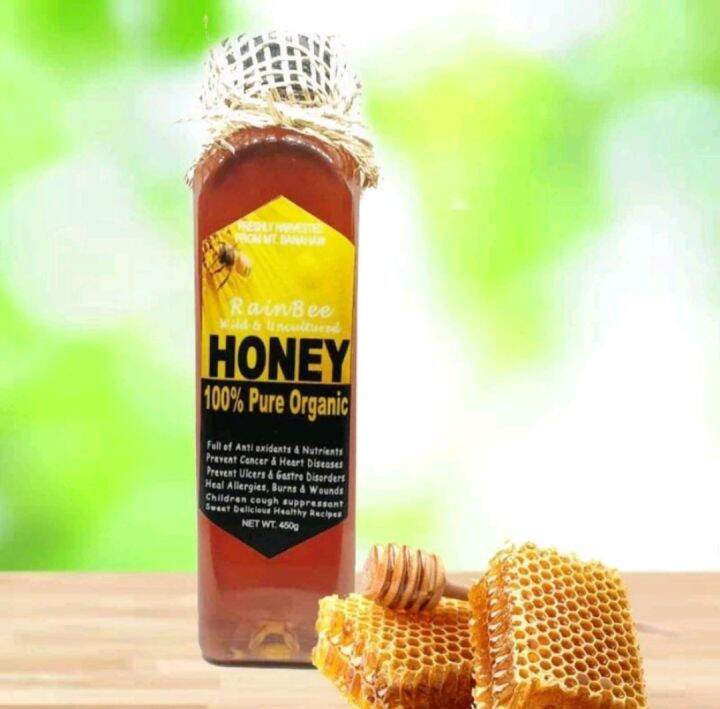 Rainbee Pure Raw Honey Uncultured Organic 400g | Lazada PH