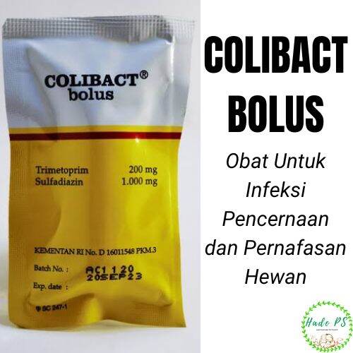 Colibact Bolus Sanbe Obat Untuk Infeksi Pencernaan dan Pernafasan Hewan ...