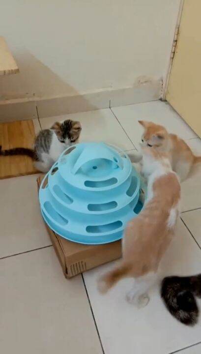 Spinning Tower Balls Cat Teaser | Cat Toy | Mainan Bola Kucing ...