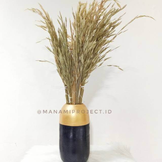 Bunga Kering Padi Gunung / Dried Paddy / Bunga Padi Gunung Kering ...