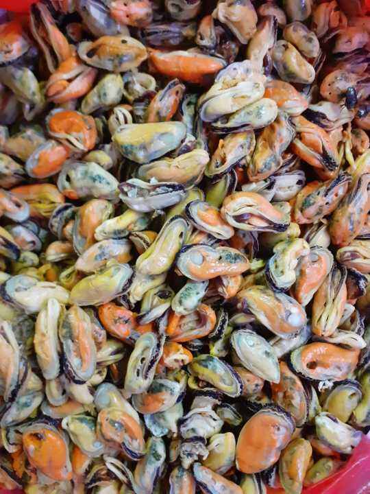Kerang Segar | Lazada Indonesia