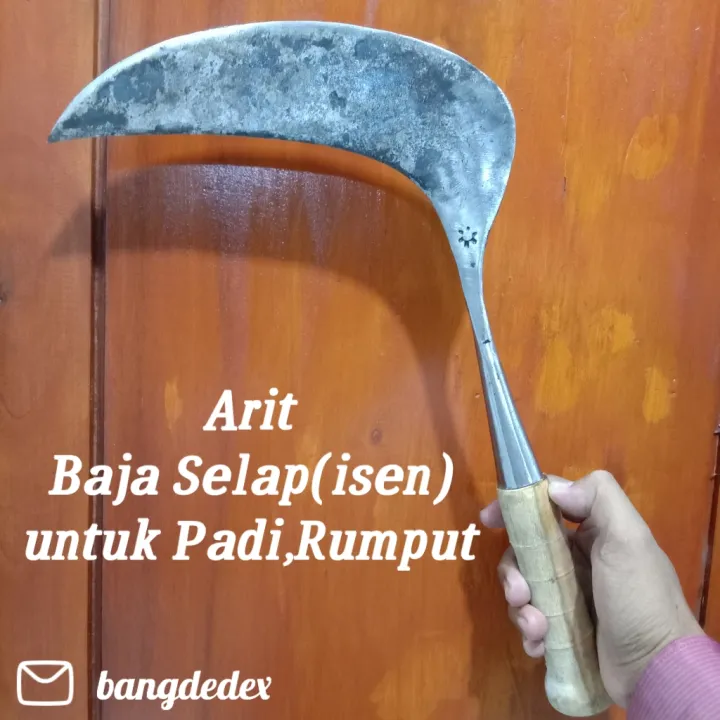 ARIT BAJA SELAP PADI RUMPUT | Lazada Indonesia ARIT BAJA SELAP PADI RUMPUT | Lazada Indonesia