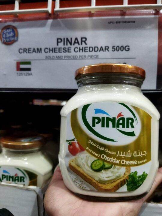 PINAR PROCESSED CHEDDAR CREAM CHEESE SPREAD (500 grams) | Lazada PH