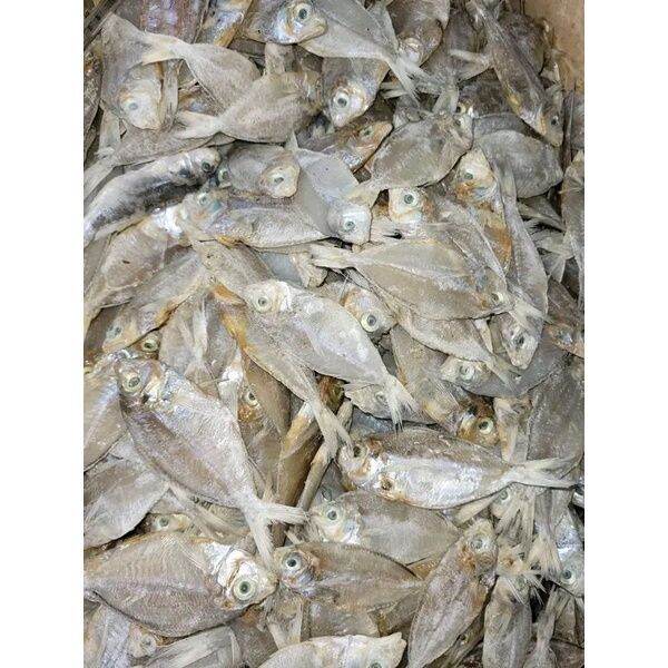 Sapsap burlis from Bicol dried fish Vacuum sealed | Lazada PH