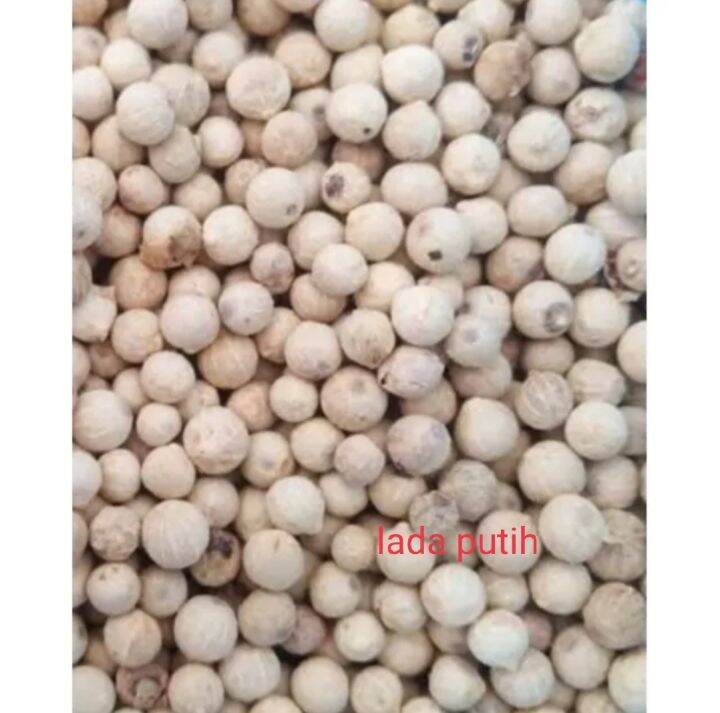 lada buLat 250 gr | Lazada Indonesia