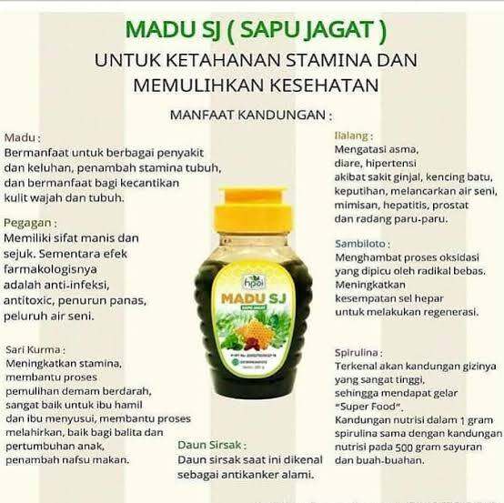 MADU SAPU JAGAT HNI/HPAI ORIGINAL | Lazada Indonesia MADU SAPU JAGAT HNI/HPAI ORIGINAL | Lazada Indonesia