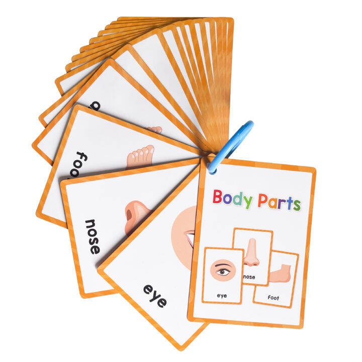 15PCS Body Part Flash Cards for Kids Learn about The Body Vocabulary ...