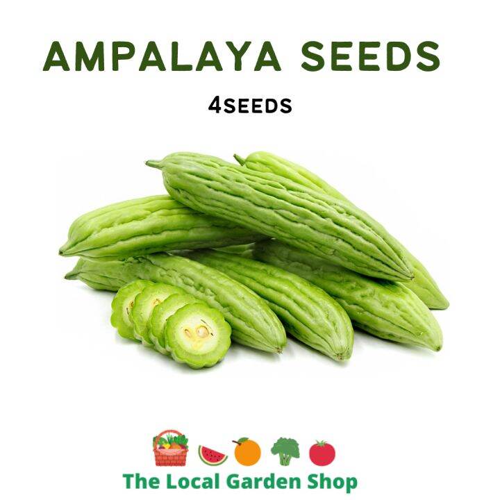 AMAPALAYA SEEDS / HYBRID - 4seeds | Lazada PH