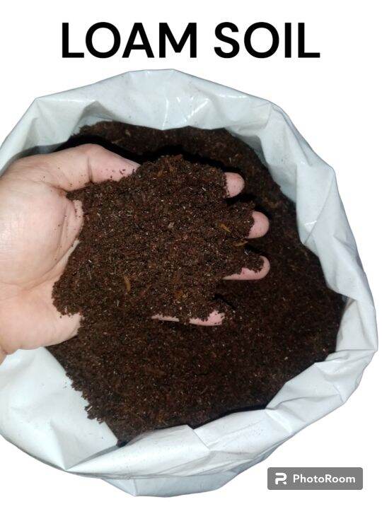 LOAM SOIL Complete Organic Soil ready to use. 1 kilo per Bag | Lazada PH