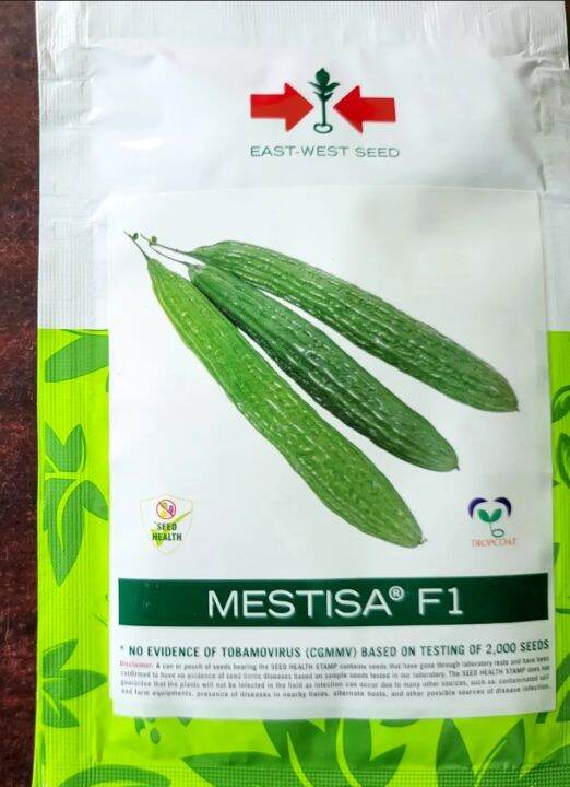 MESTISA F1 HYBRID AMPALAYA SEEDS (APPROX 24 SEEDS ASENSO PACK) EAST ...